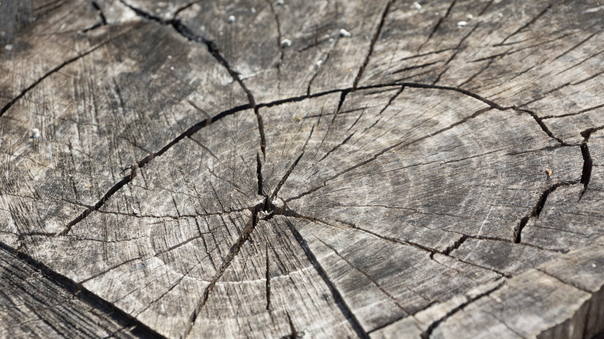 Logging and Log Management by Anton Chuvakin, Kevin Schmidt, Chris ...